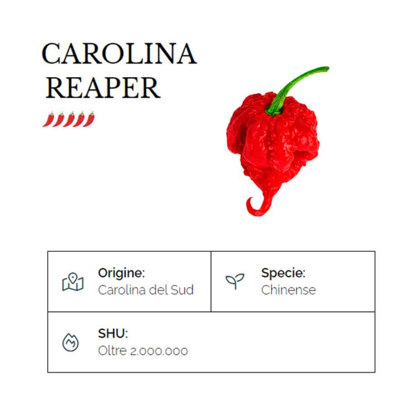 Mr Pic Carolina Reaper Chili Pepper Powder 15 gr